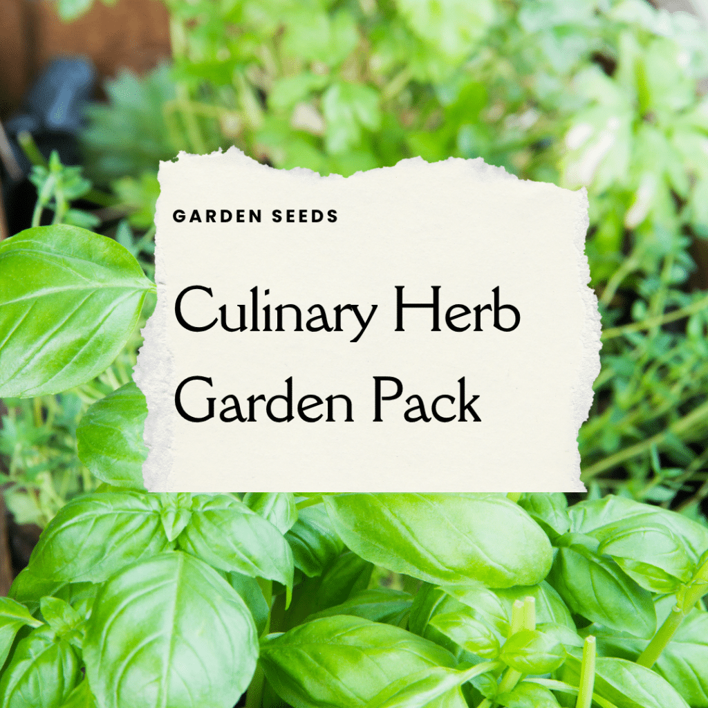 Culinary Herb Garden Pack - SEEDNEST